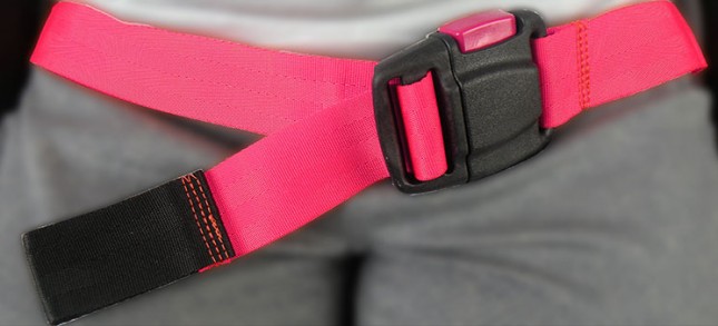 About Us | Safe-Strap Amusement Restraints